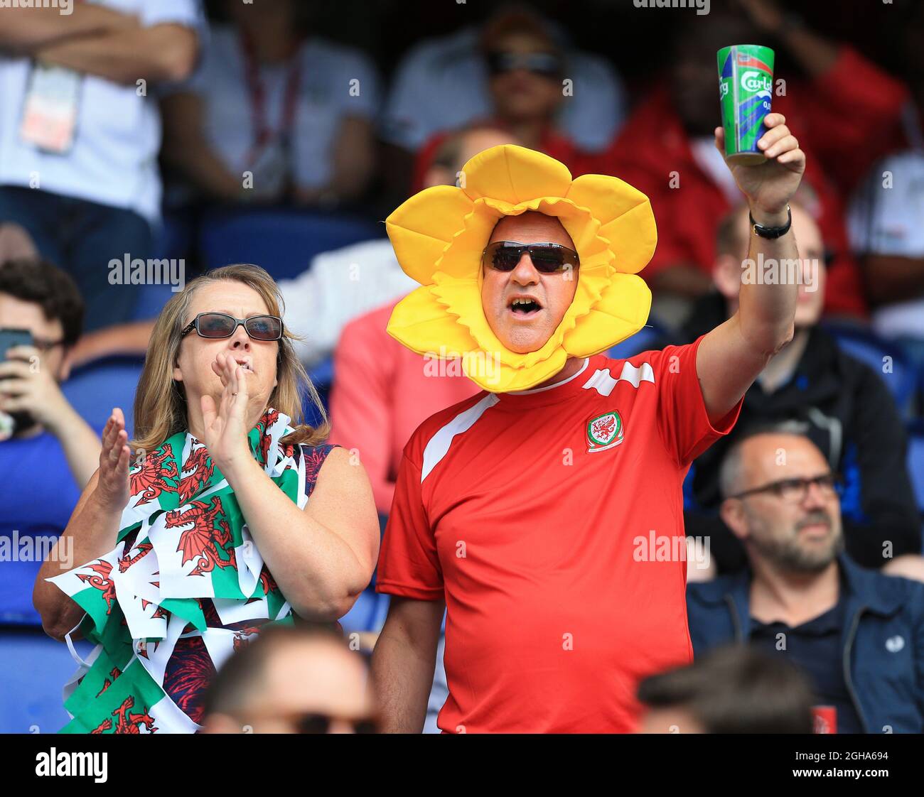 Wales football fans paris hi-res stock photography and images - Alamy