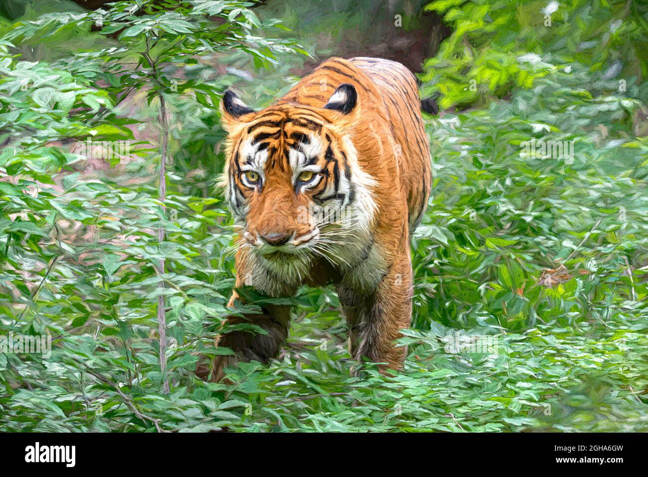 Cat for digital art hi-res stock photography and images - Alamy