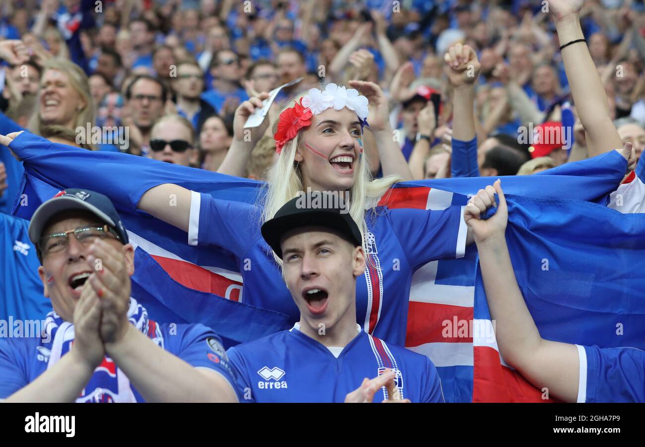Iceland fan holds out the countries flag during the UEFA European ...