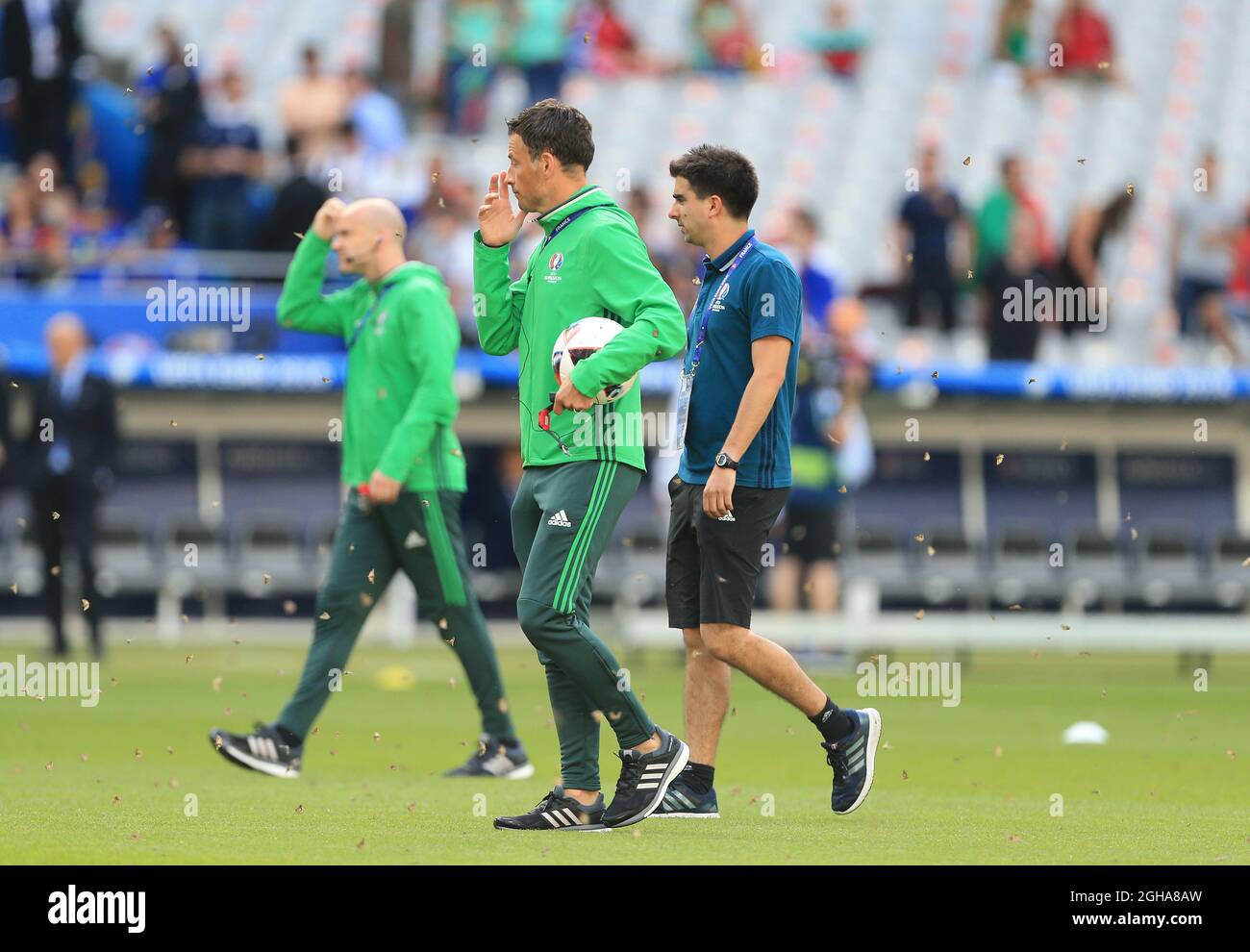 Final referee Mark Clattenburg is engulfed in moths as they rise up off ...