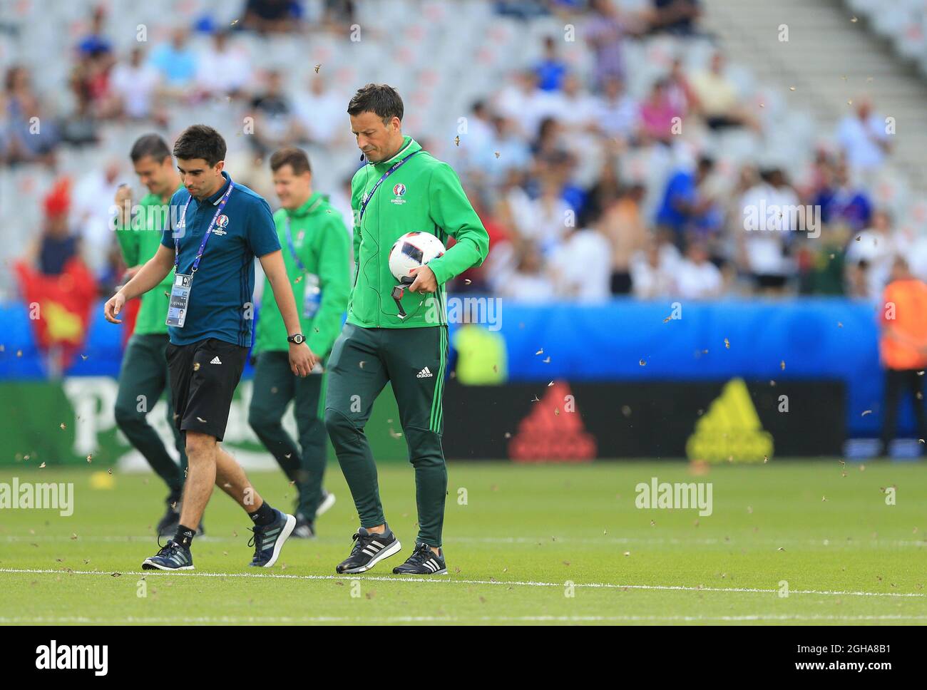 Final referee Mark Clattenburg is engulfed in moths as they rise up off ...