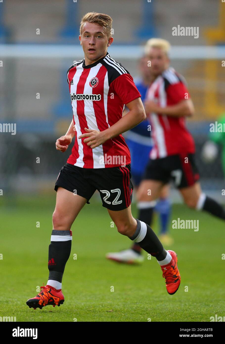 Simon reed hi-res stock photography and images - Alamy