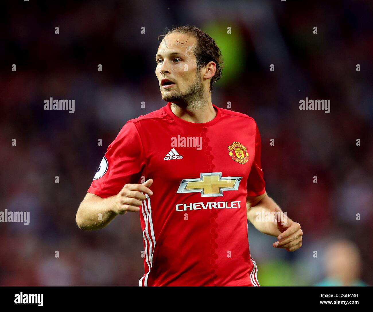 Simon daley hi-res stock photography and images - Alamy