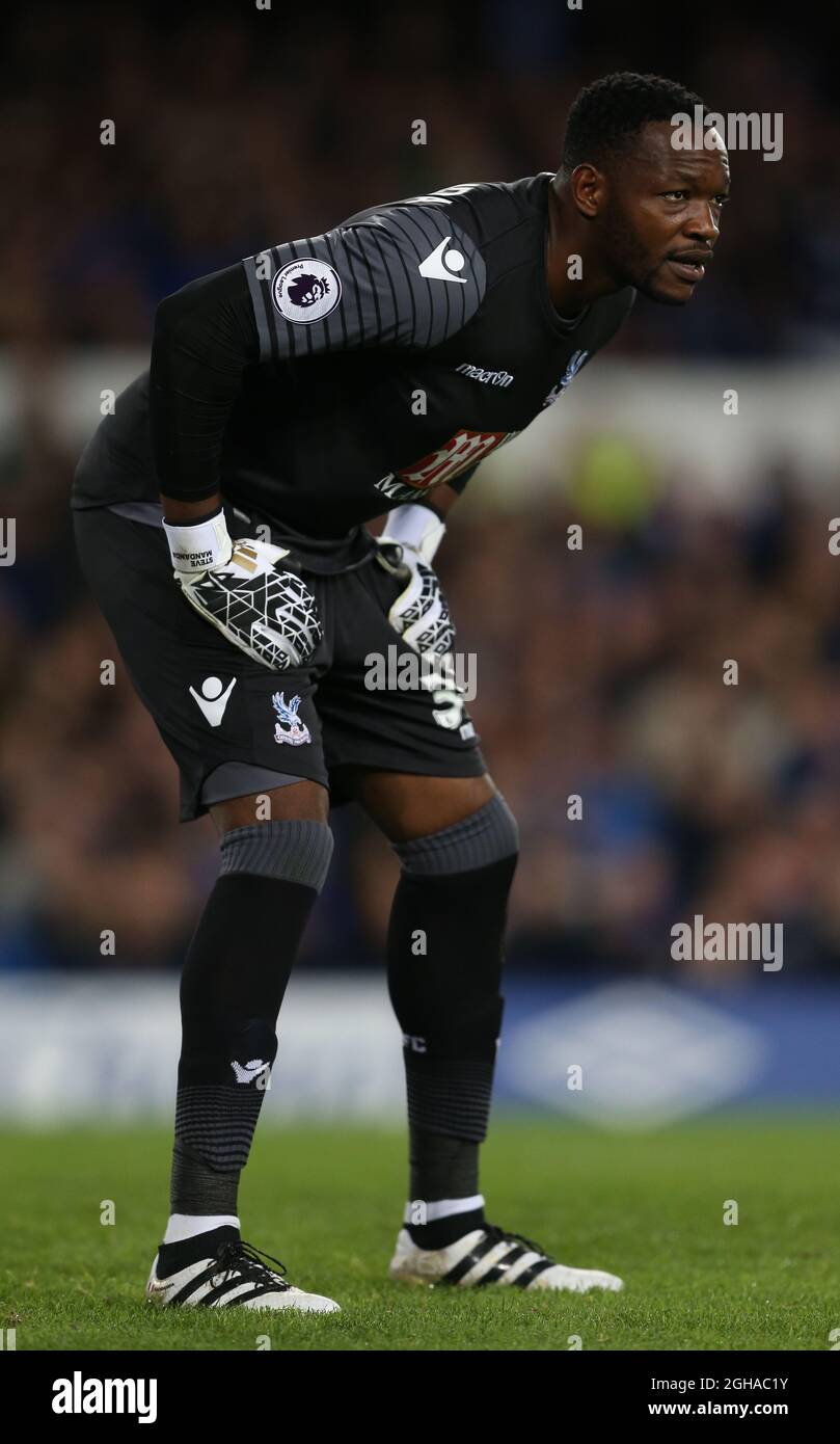 Steve Mandanda of Crystal Palace during the Premier League match at ...