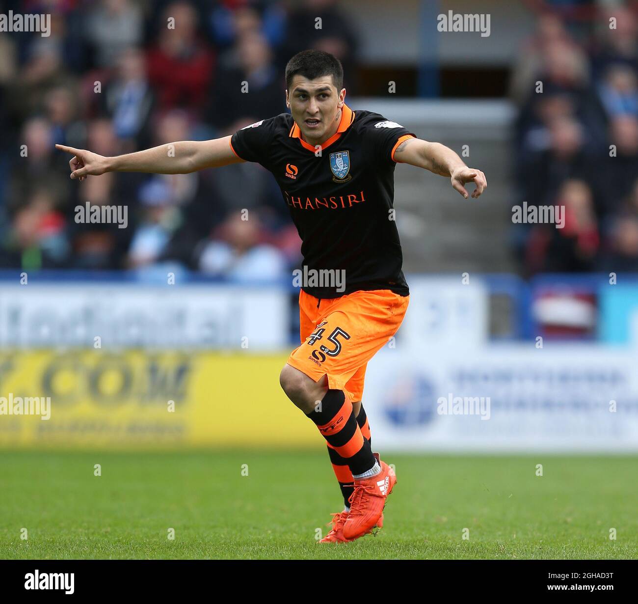 Fernando Forestieri of Sheffield Wednesday celebrates scoring the first ...