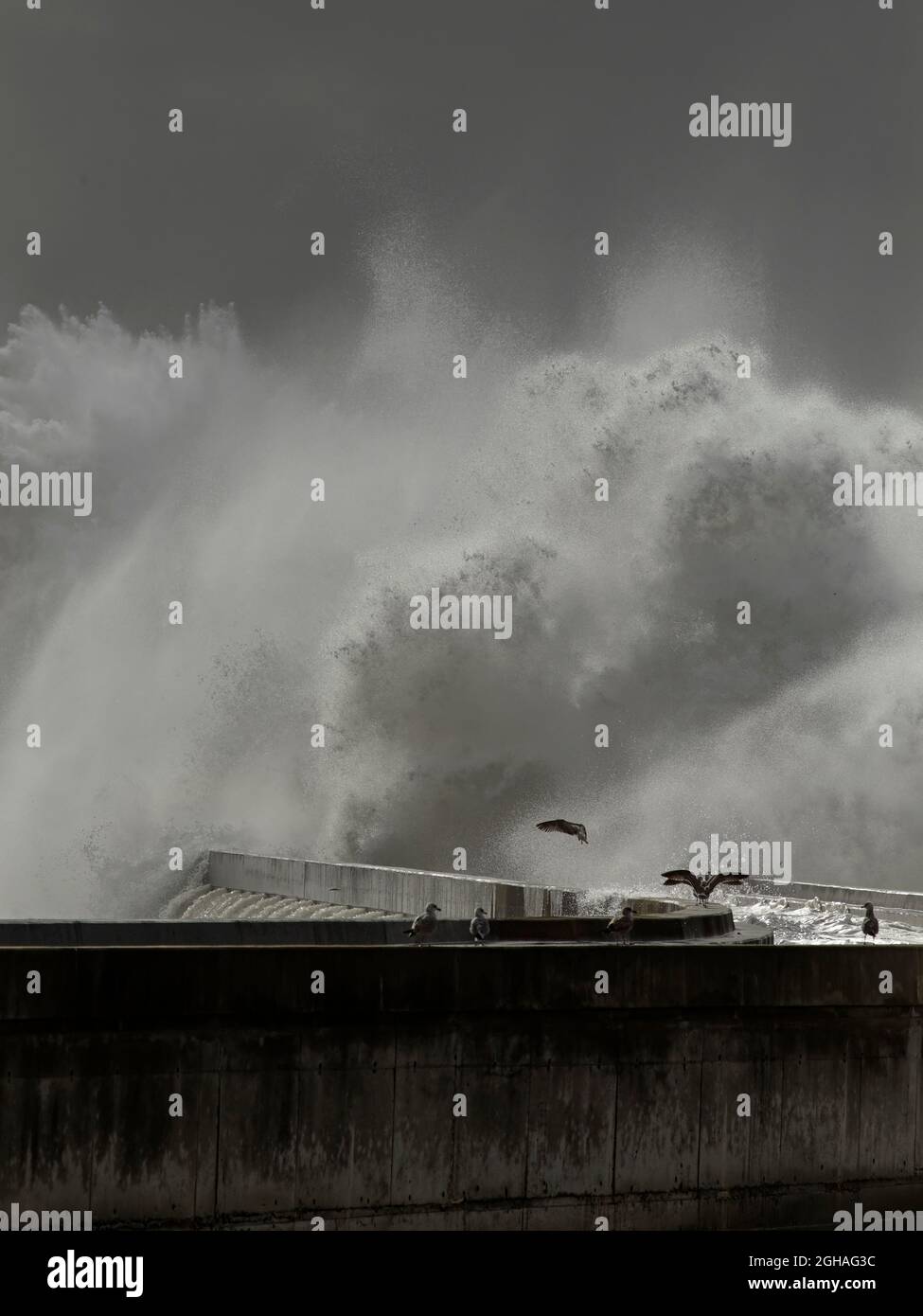Huge stormy sea wave splash at the pier Stock Photo - Alamy