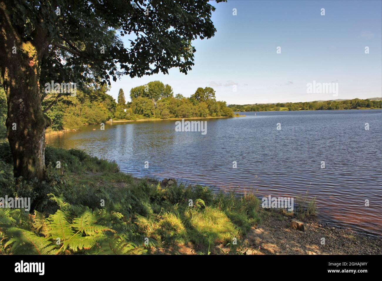 Loch Ken - Scotland Stock Photo - Alamy