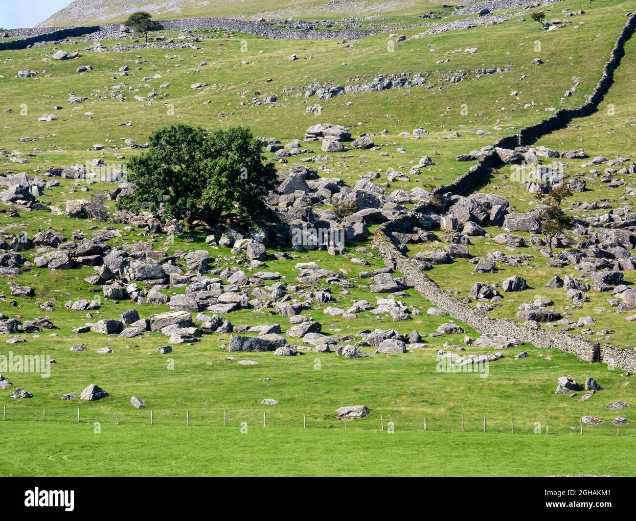 The Norber erratics, boulders deposited by a retreating glacier above ...