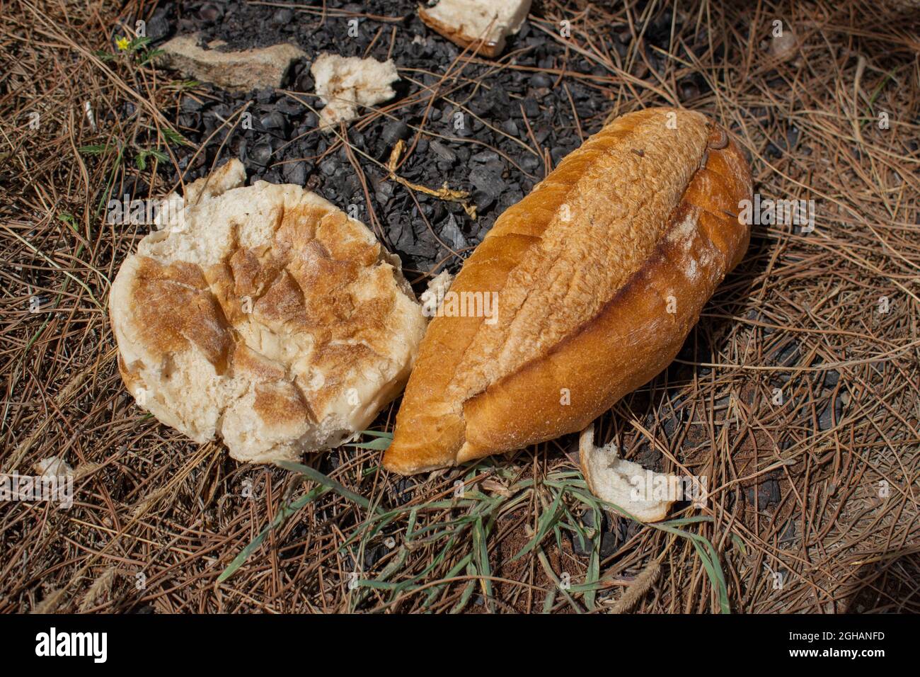 Food waste bakery hi-res stock photography and images - Alamy