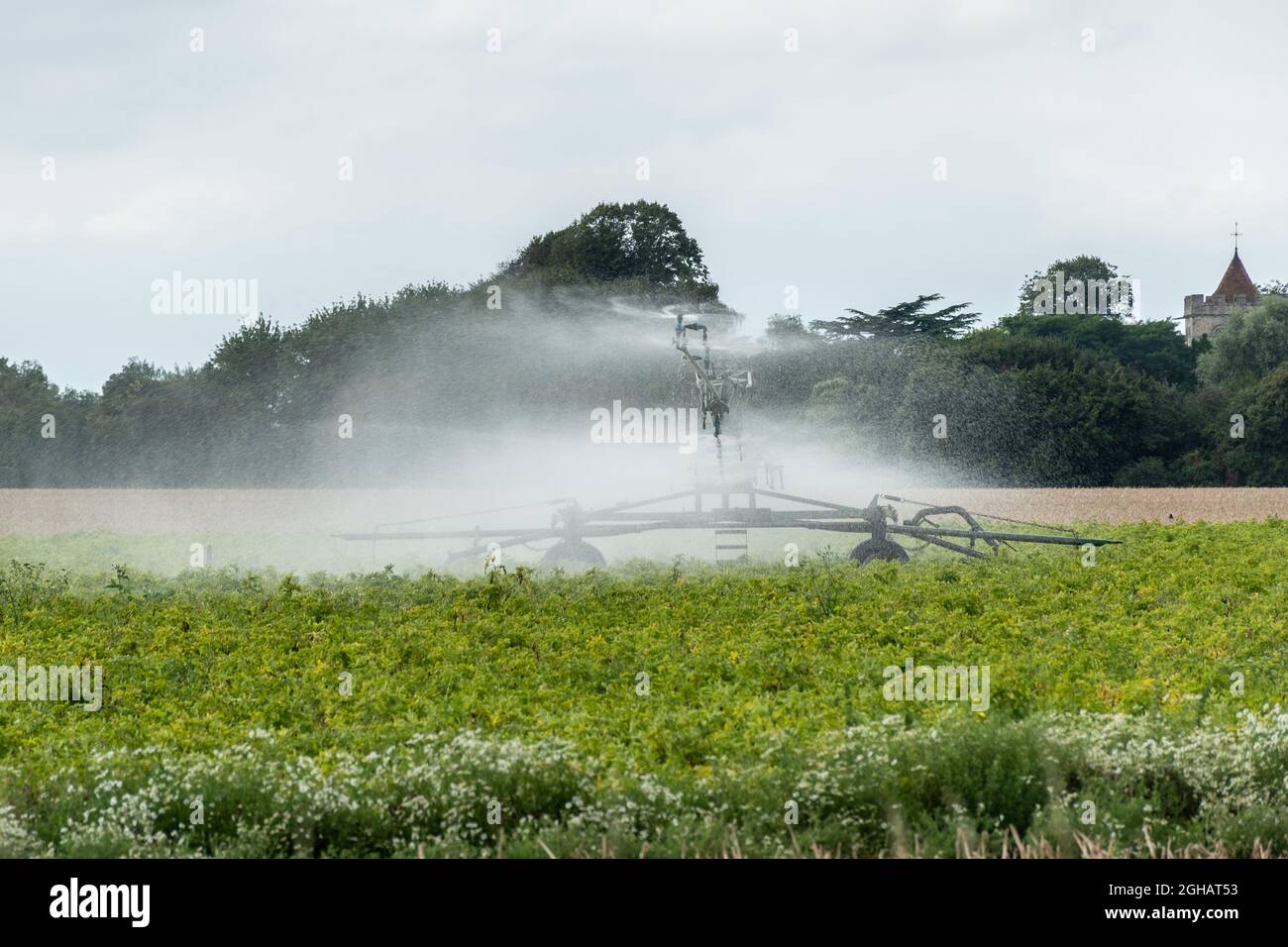 Crop-sprayer in action in a field on agricultural farmland, UK. Farm ...