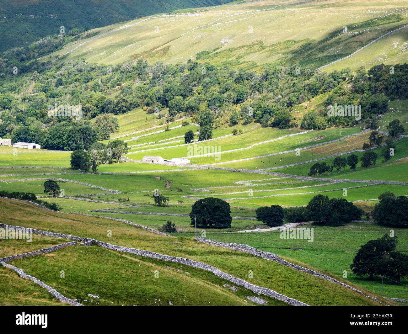 Looking down into Littondale in the Yorkshire Dales, UK Stock Photo - Alamy