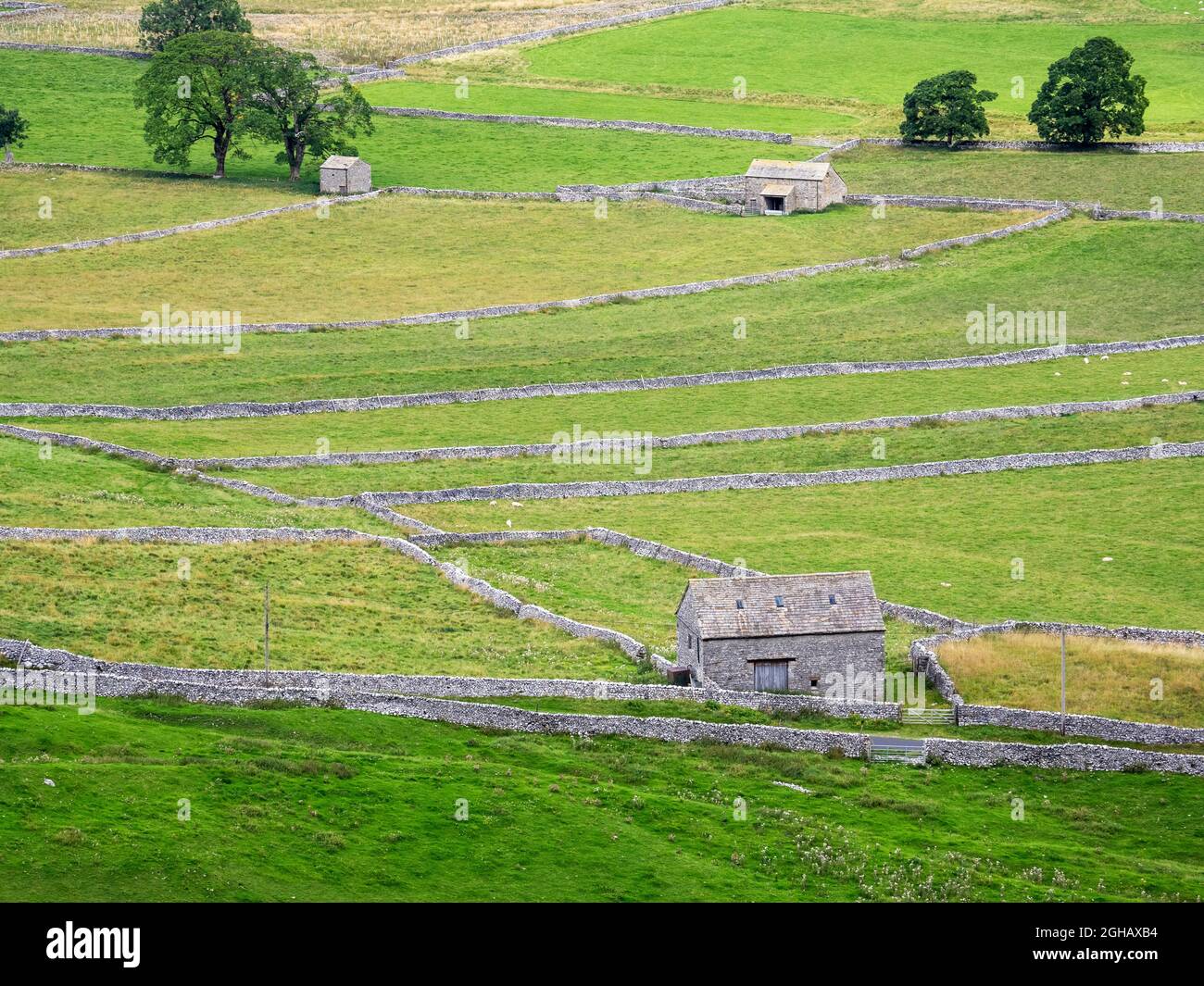 Looking down into Littondale in the Yorkshire Dales, UK Stock Photo - Alamy