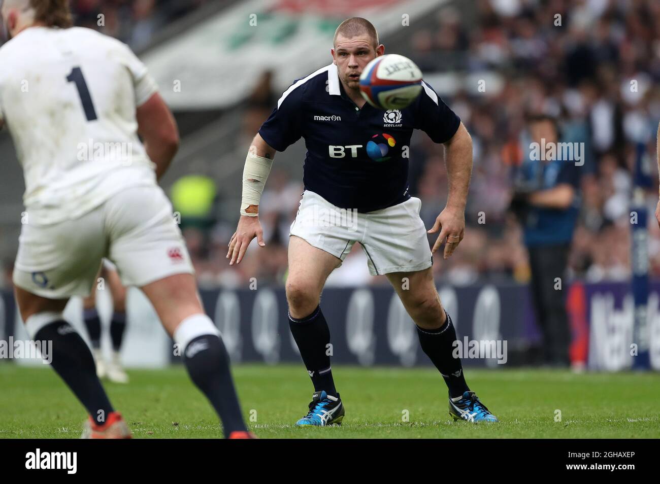 Gordon reid hi-res stock photography and images - Alamy