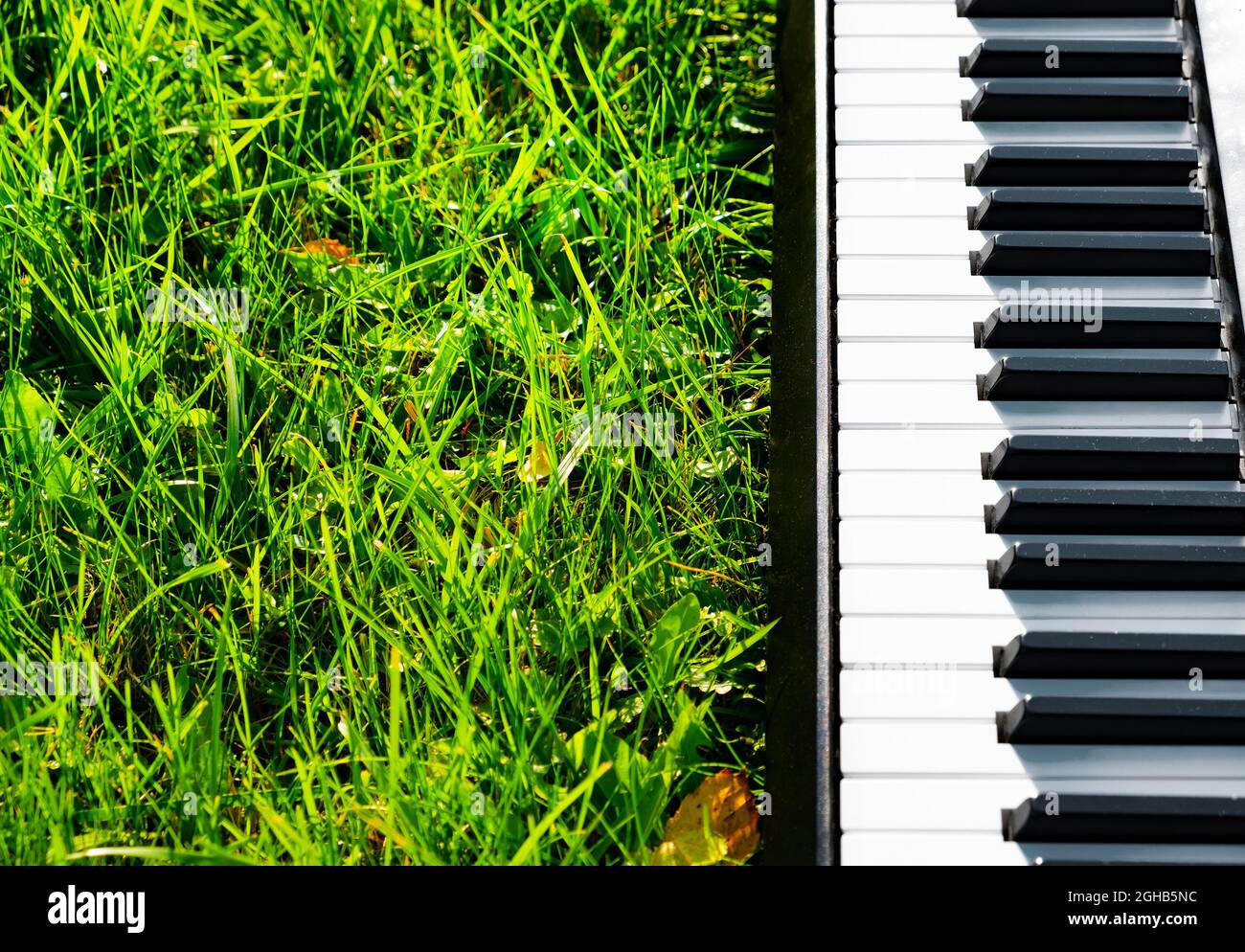 Piano Keyboard on the Green Grass with a Sunlight Stock Photo - Alamy