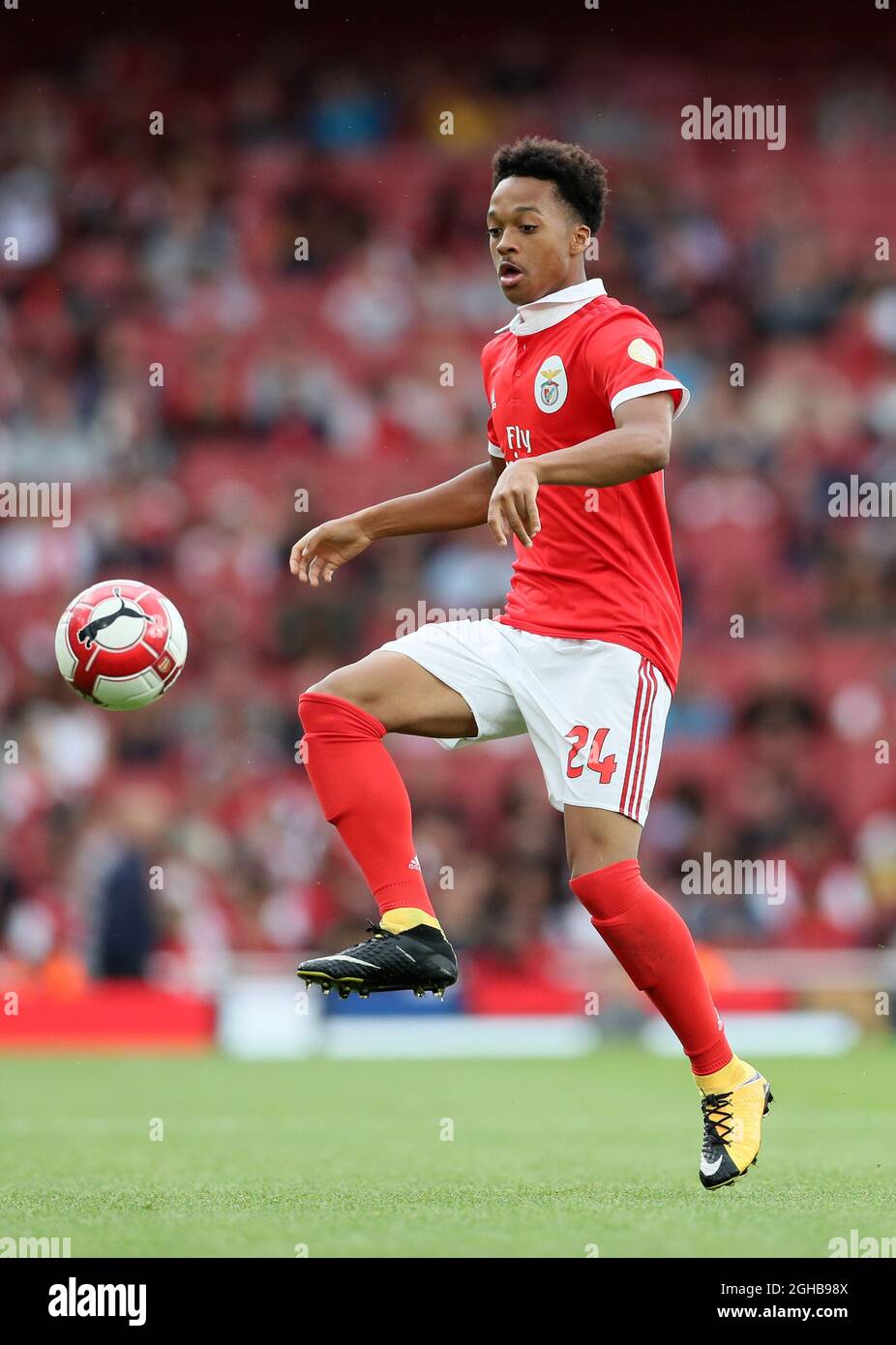 David Willock High Resolution Stock Photography and Images - Alamy