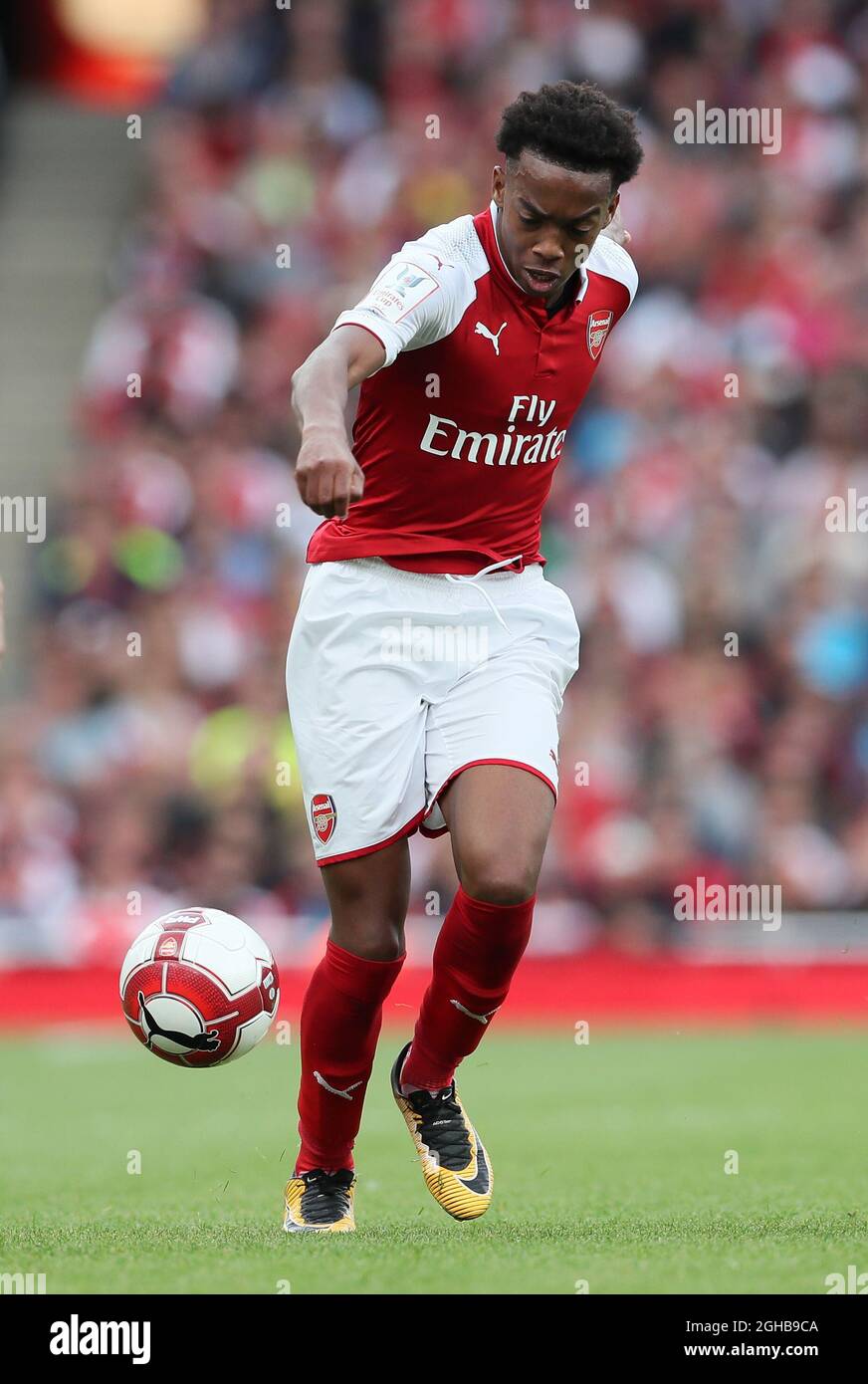 David Willock High Resolution Stock Photography and Images - Alamy