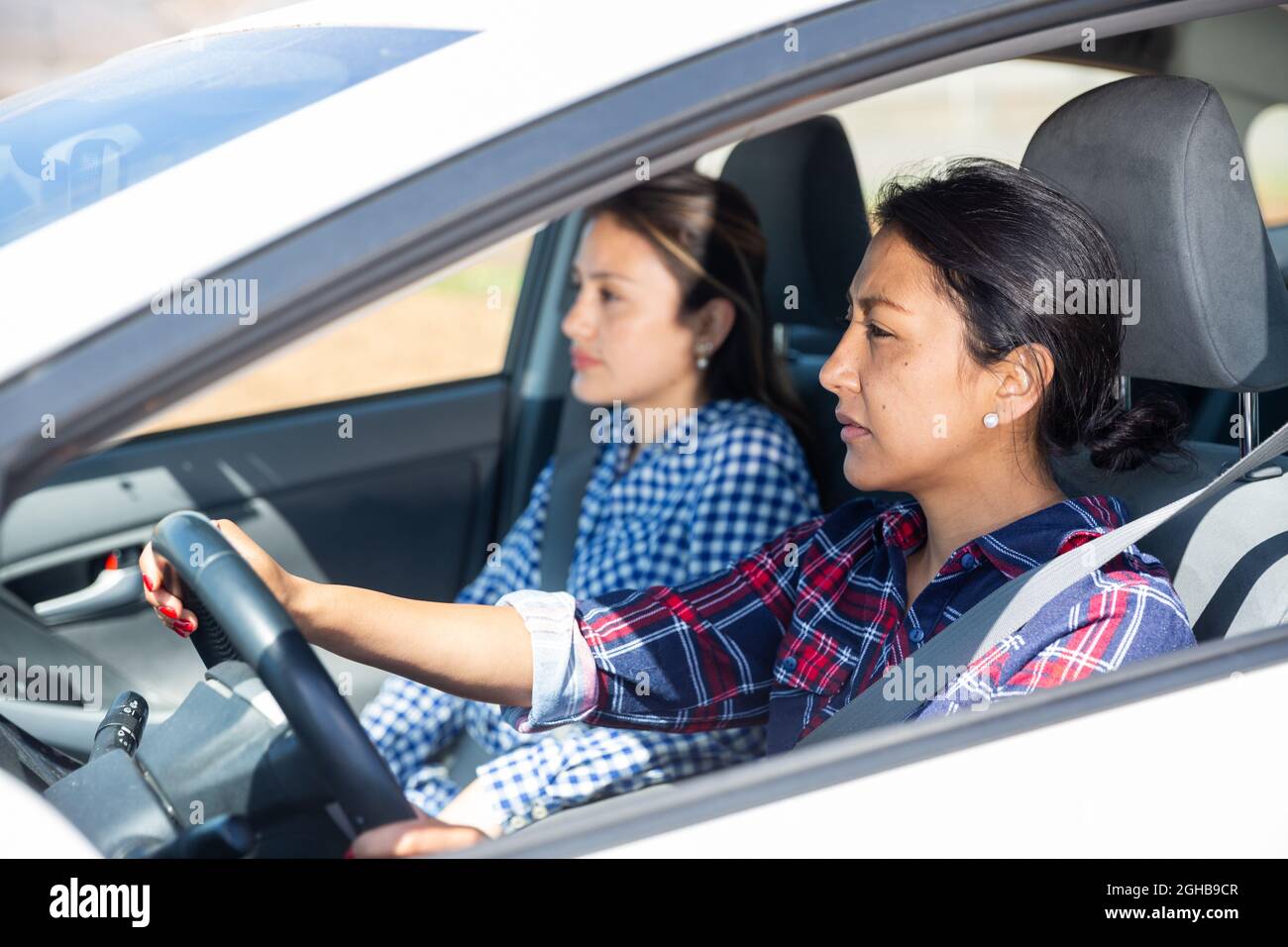 Portrait of female latino american driver and her friend in car Stock ...