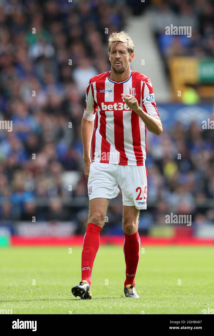 Peter stokes hi-res stock photography and images - Alamy