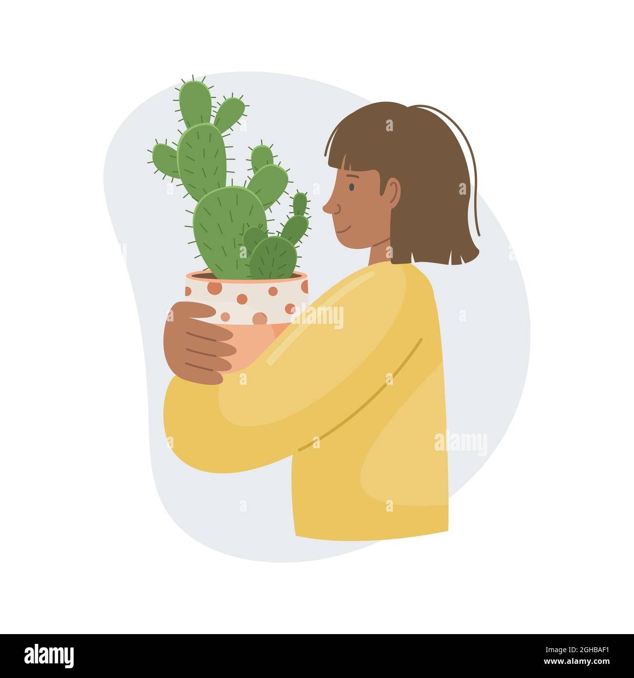 Monstera house plant in pot Cut Out Stock Images & Pictures - Alamy