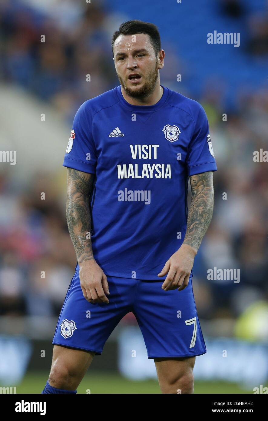 Lee tomlin of cardiff city hi-res stock photography and images - Alamy