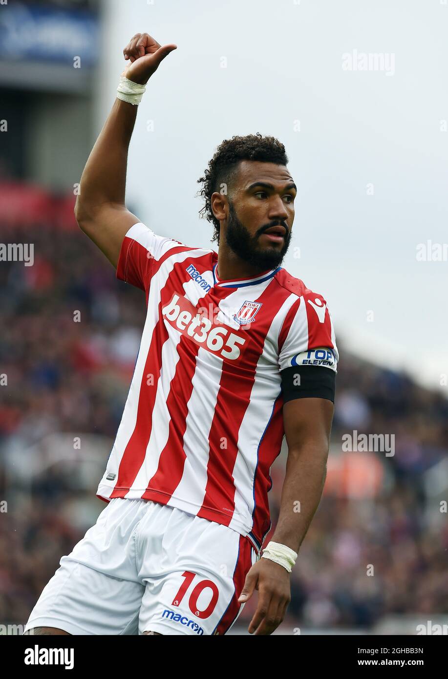 Eric Maxim Choupo Moting of Stoke City during the premier league match ...