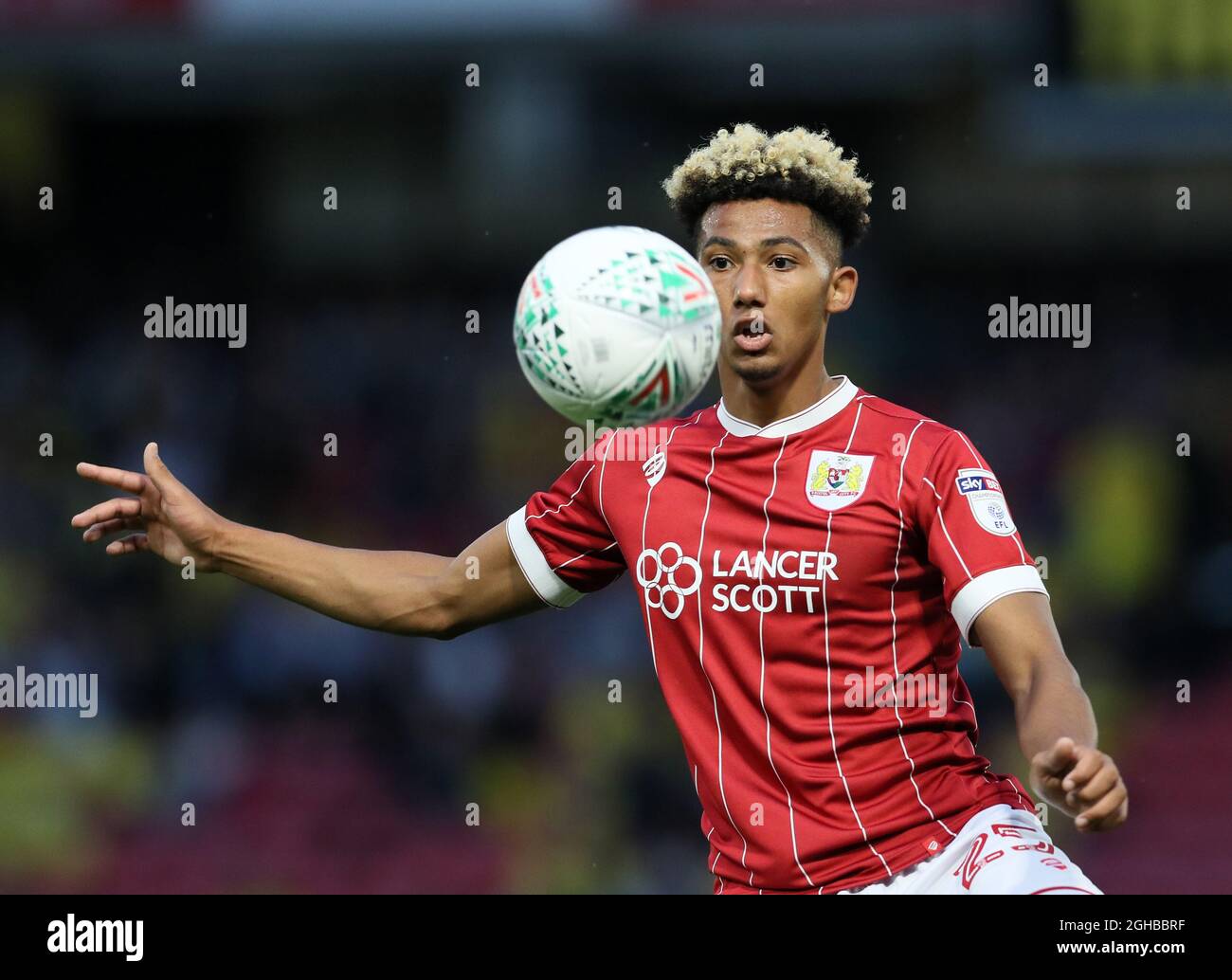 Lloyd klein hi-res stock photography and images - Alamy