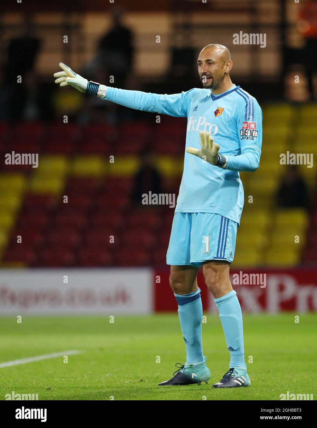 Heurelho gomes watford hi-res stock photography and images - Alamy