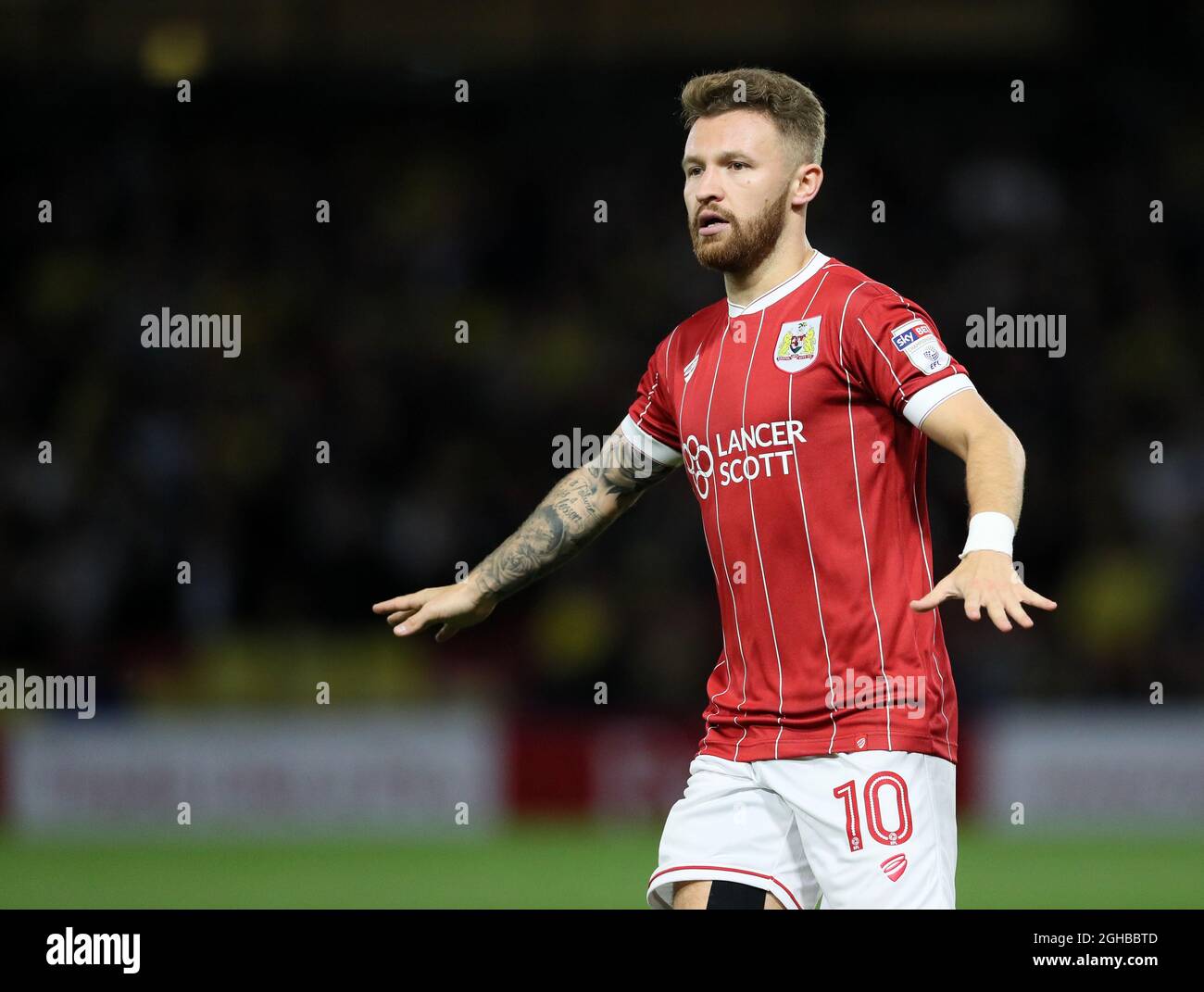 Taylor in action hi-res stock photography and images - Alamy