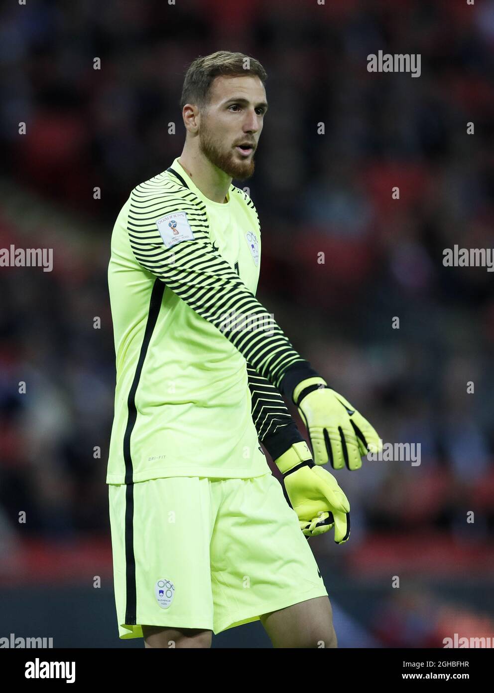 Slovenia's Jan Oblak in action during the world cup qualifying match at ...