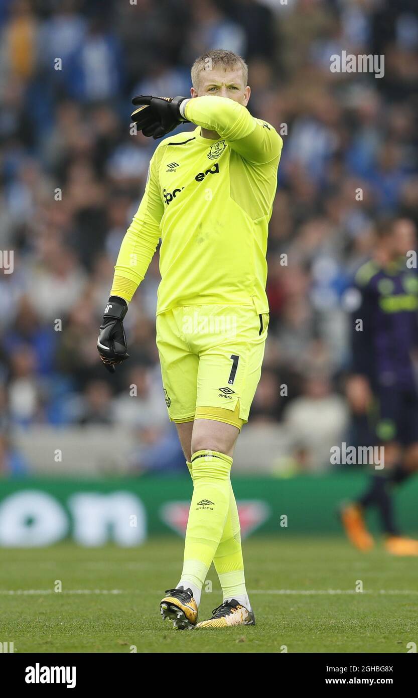 Jordan Pickford of Everton during the premier league match at the ...