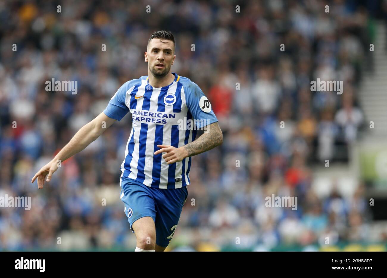 Shane duffy brighton 2017 hi-res stock photography and images - Alamy