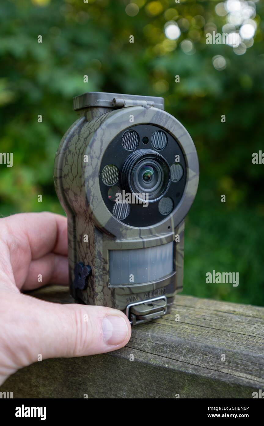 Very small wildlife camera hi-res stock photography and images - Alamy