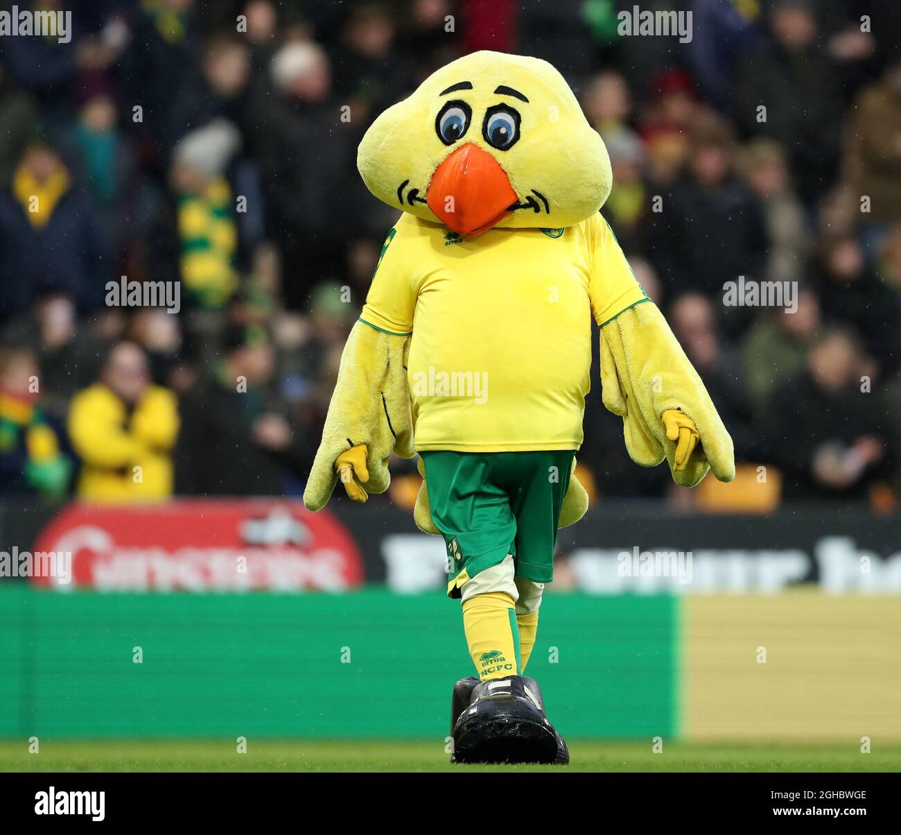 Norwich city mascot hi-res stock photography and images - Alamy