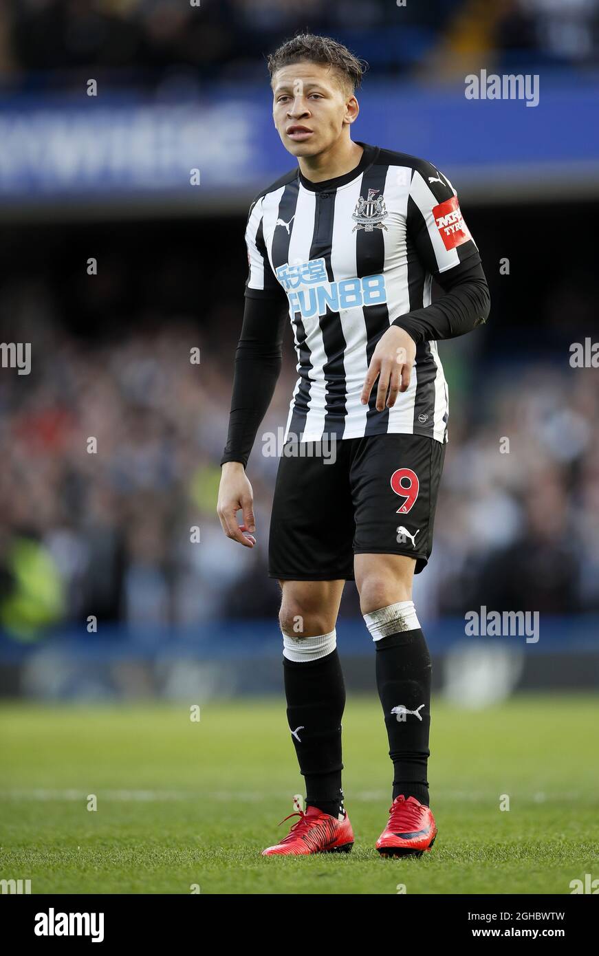 Newcastle Dwight Gayle in action during the FA Cup match at Stamford ...