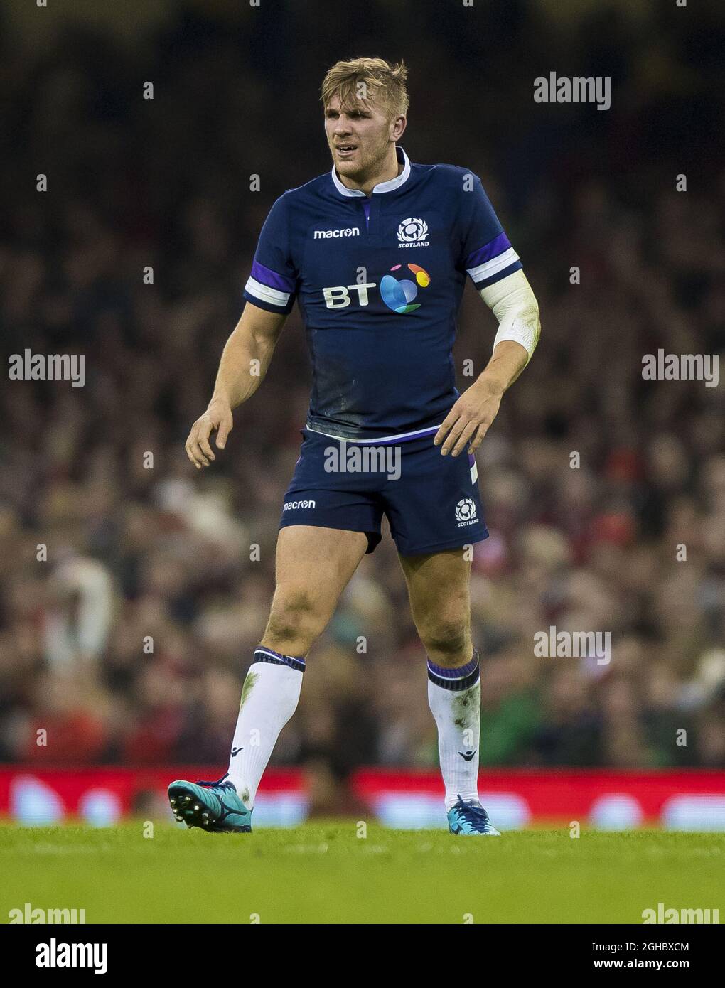 Cardiff harris hi-res stock photography and images - Alamy