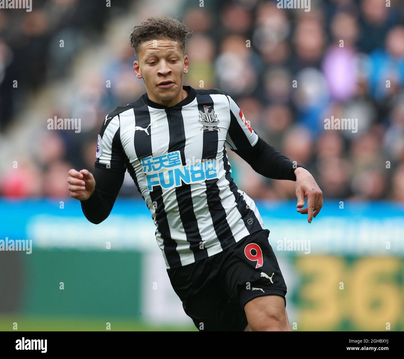 Dwight Gayle of Newcastle United during the premier league match at the ...
