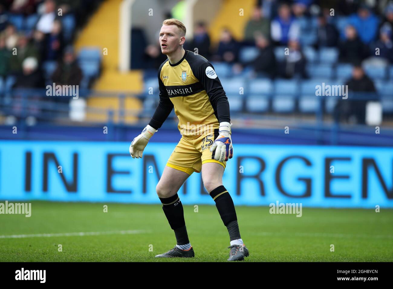 Cameron dawson hi-res stock photography and images - Alamy