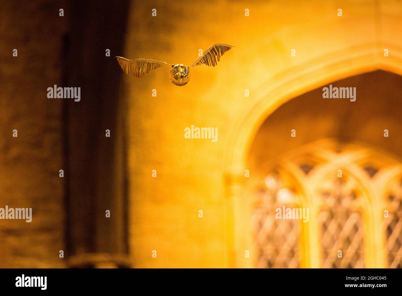 Golden Snitch Flying