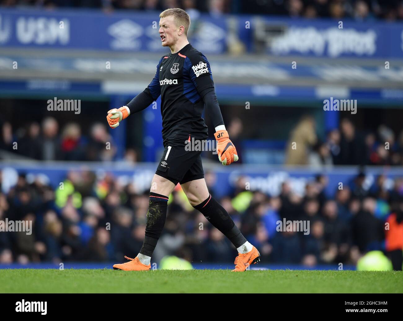Everton goalkeeper Jordan Pickford during the premier league match at ...