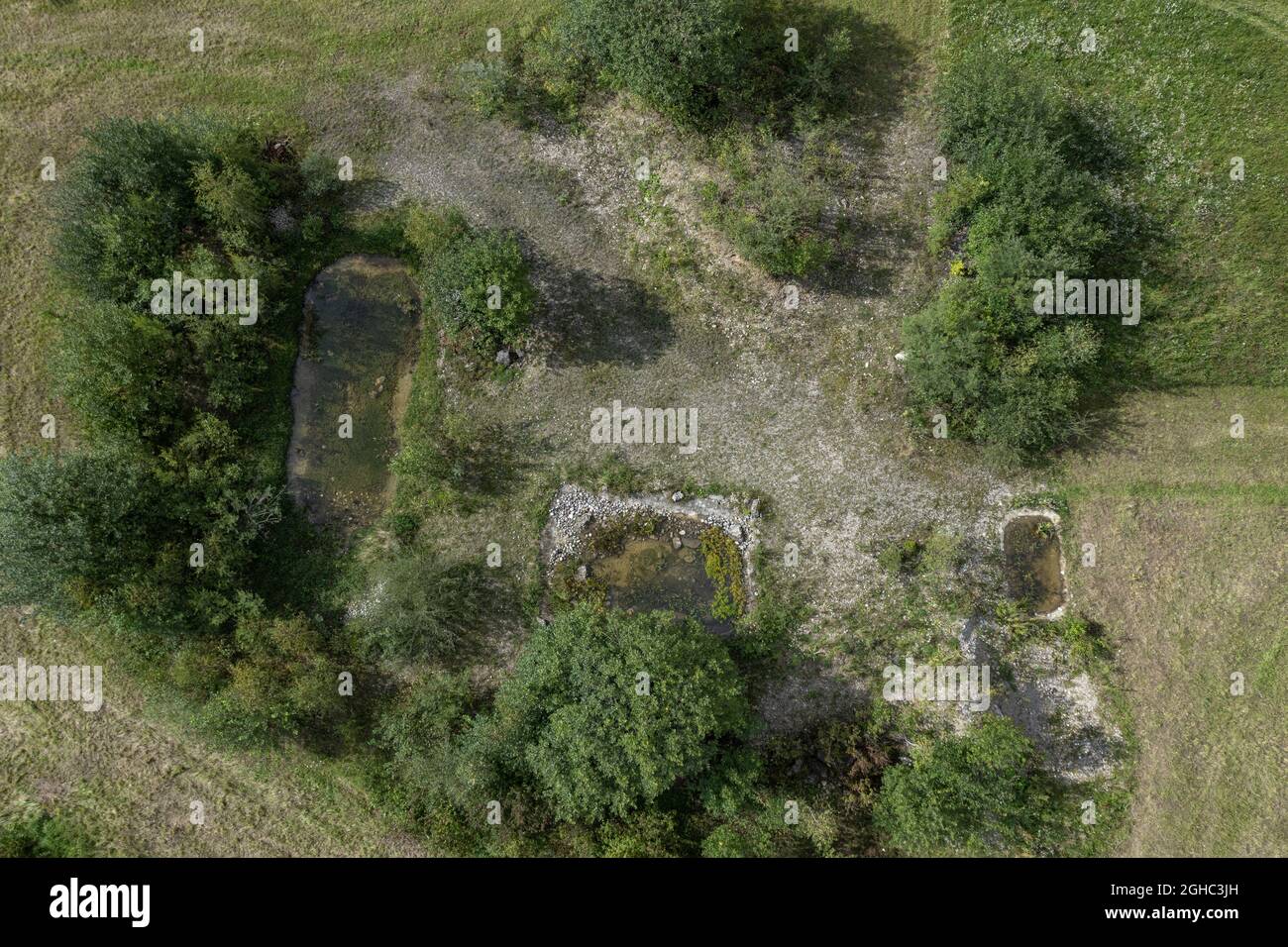 Top down aerial view at three ponds with green trees Stock Photo - Alamy