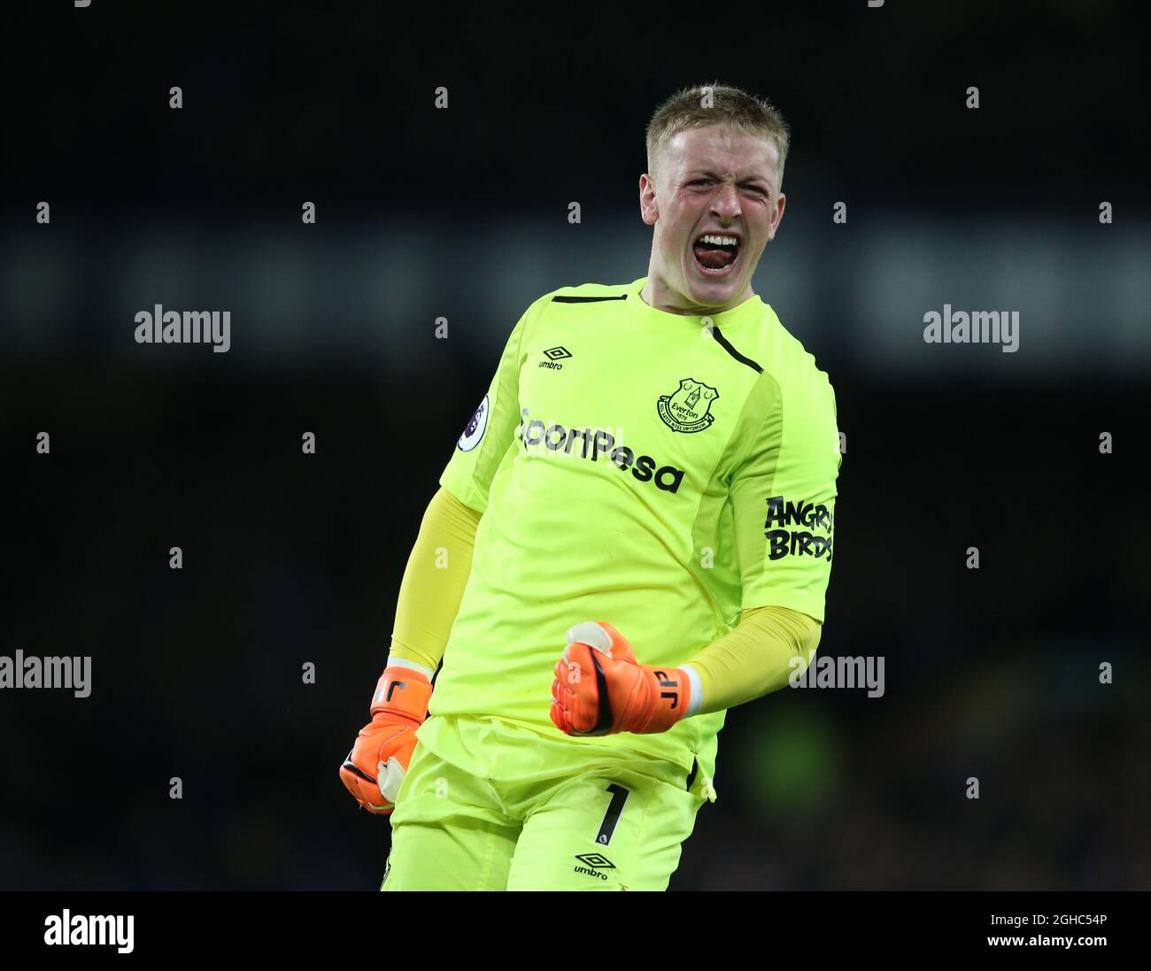 Jordan Pickford of Everton celebrates their first goal towards the ...