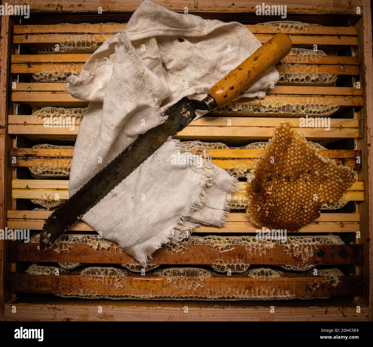 Hive tools hi-res stock photography and images - Alamy