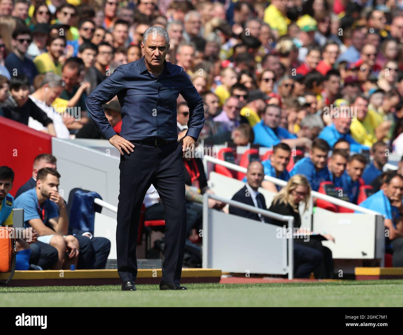 Adenor leonardo bacchi hi-res stock photography and images - Alamy