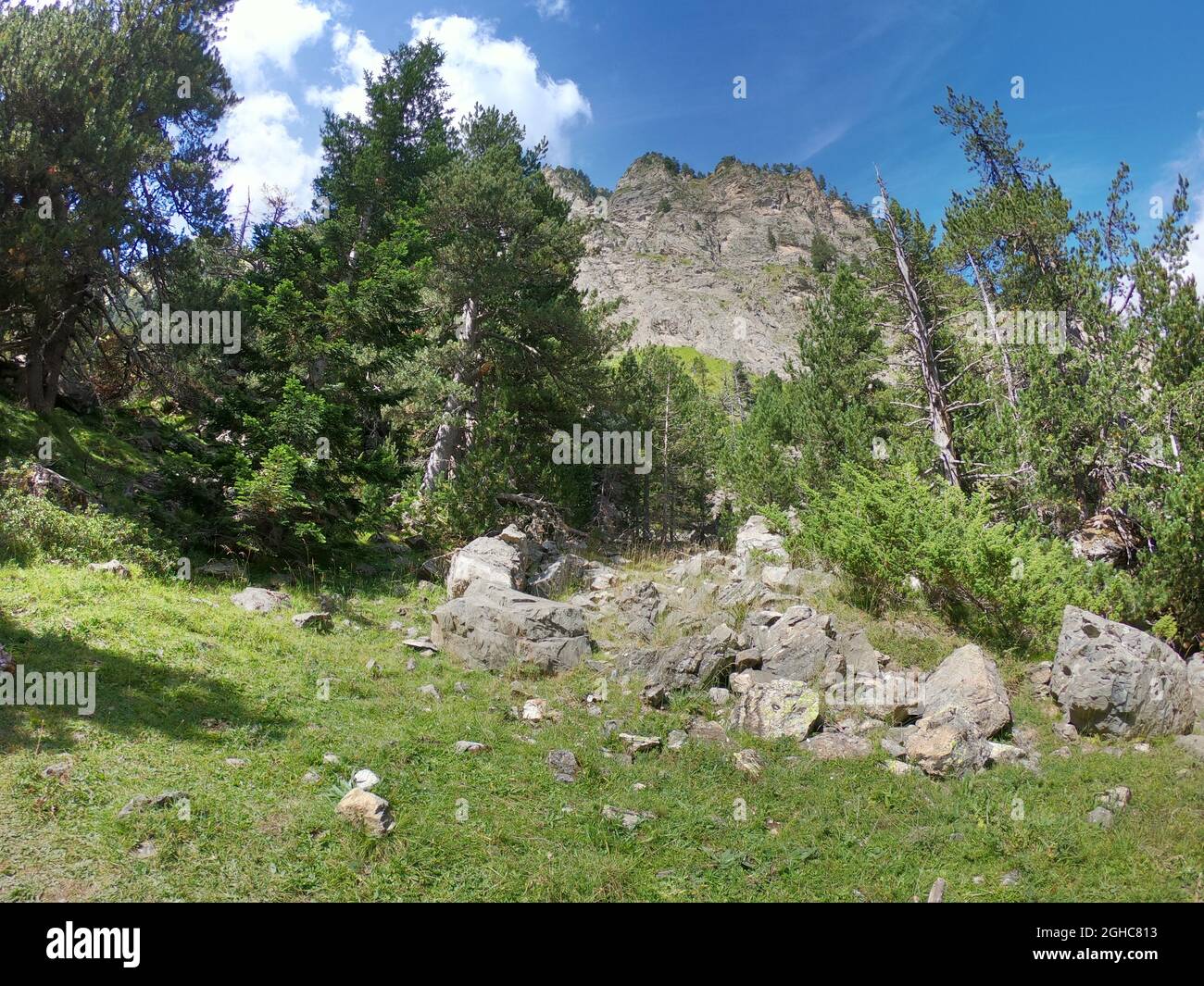 Natural parks hi-res stock photography and images - Alamy