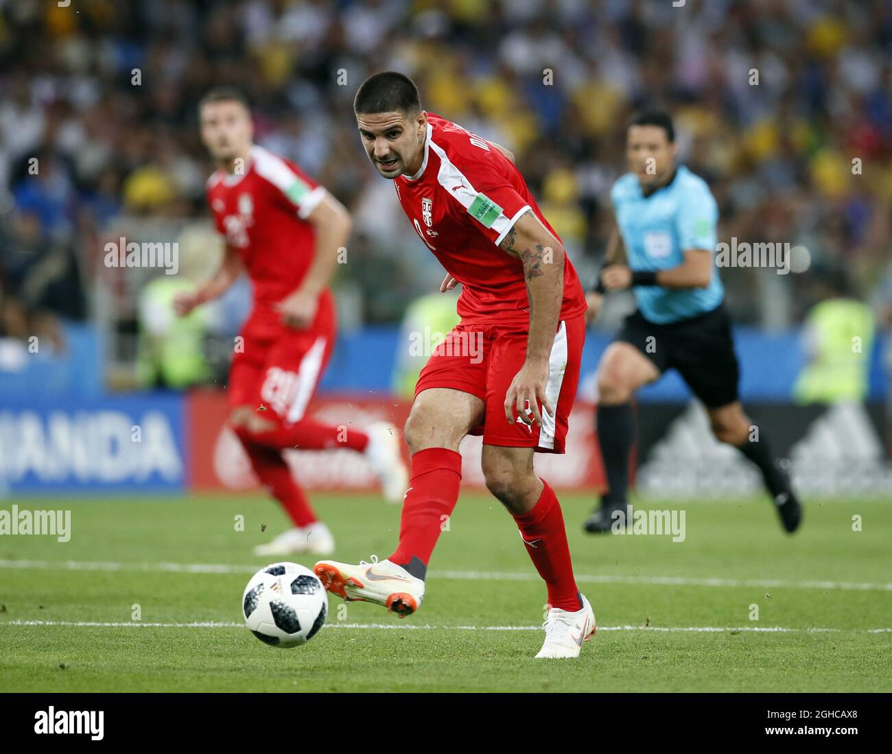 Serbias aleksandar mitrovic hi-res stock photography and images - Alamy