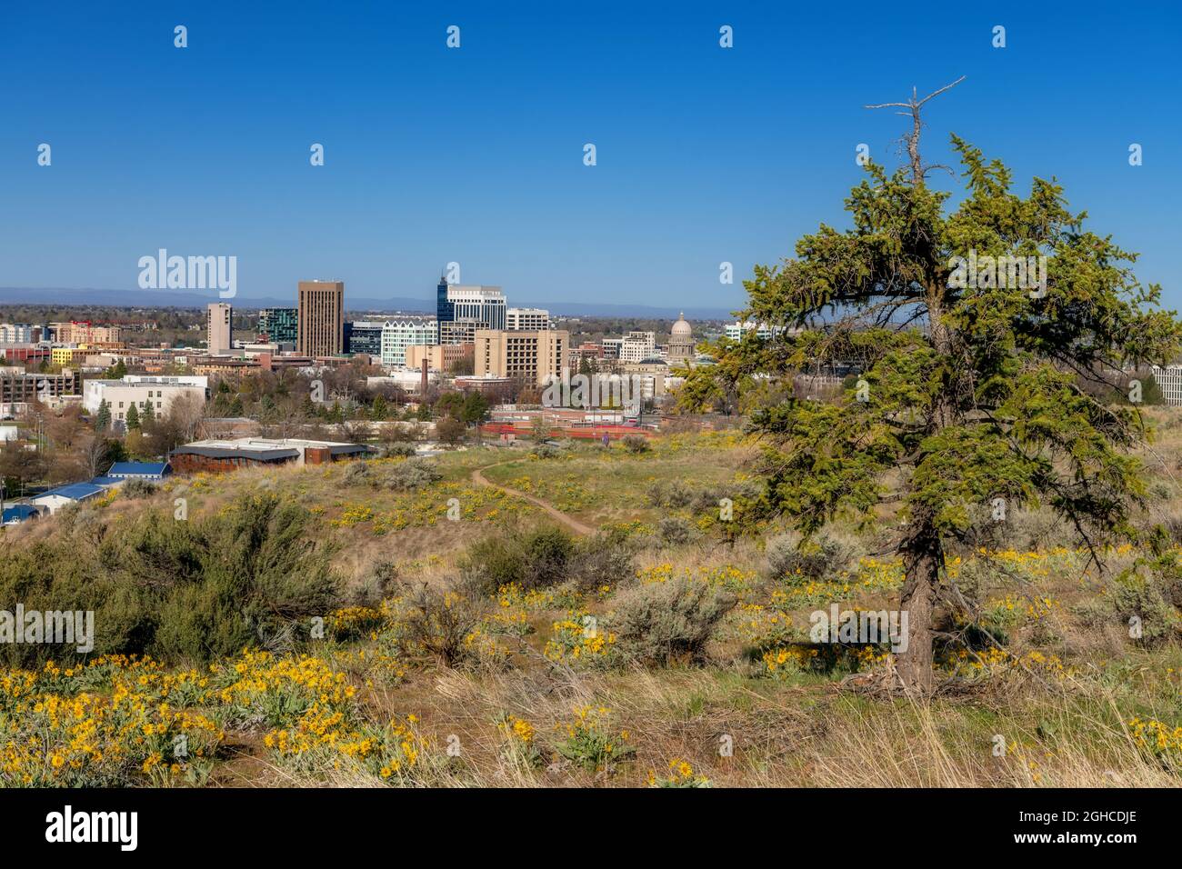 Boise skyline seen from the foothills hi-res stock photography and ...
