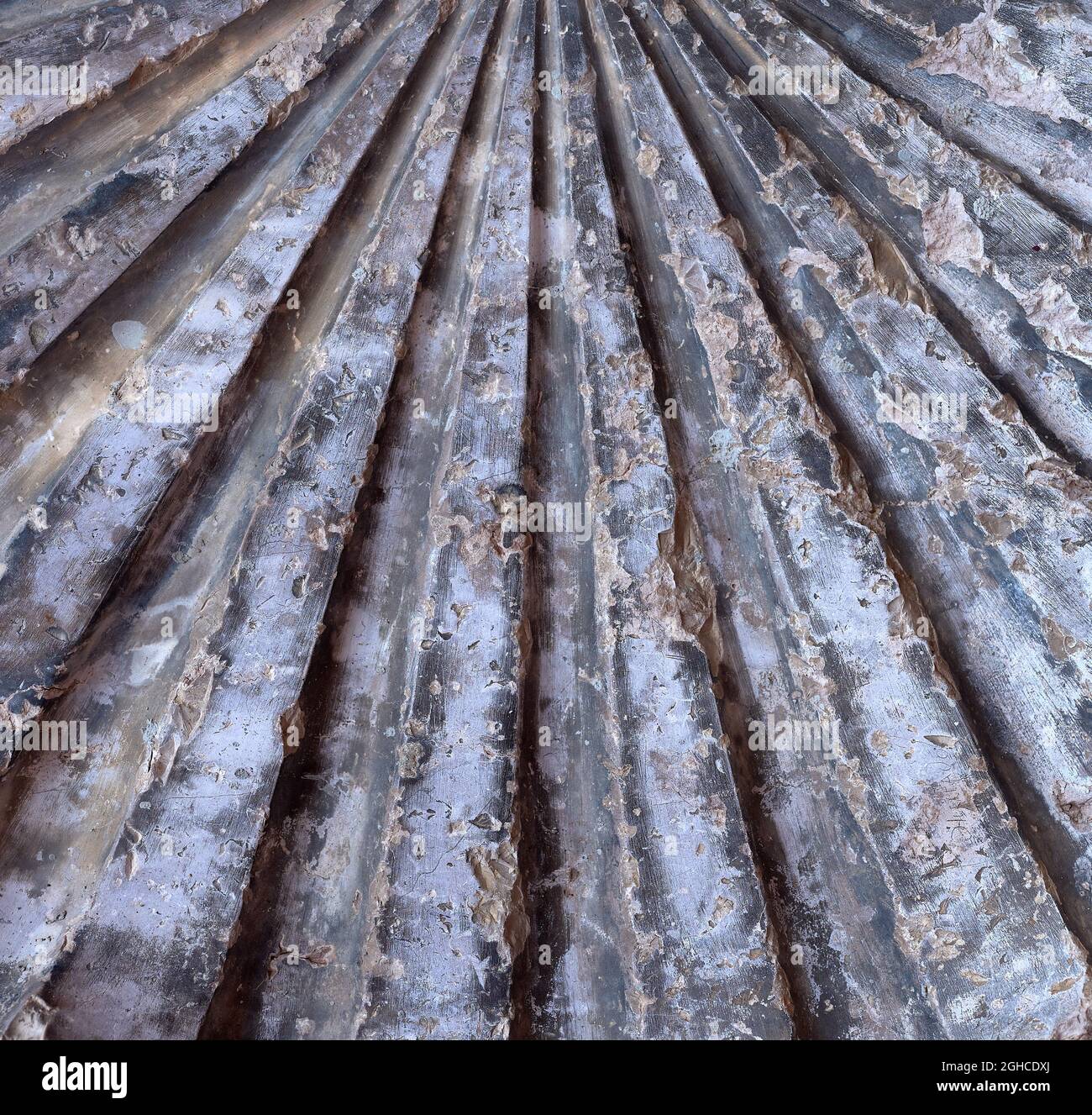 Shell fossil stone building hi-res stock photography and images - Alamy