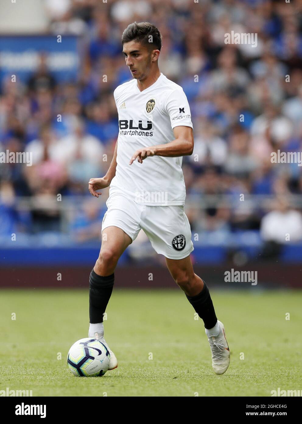 Ferran park hi-res stock photography and images - Alamy