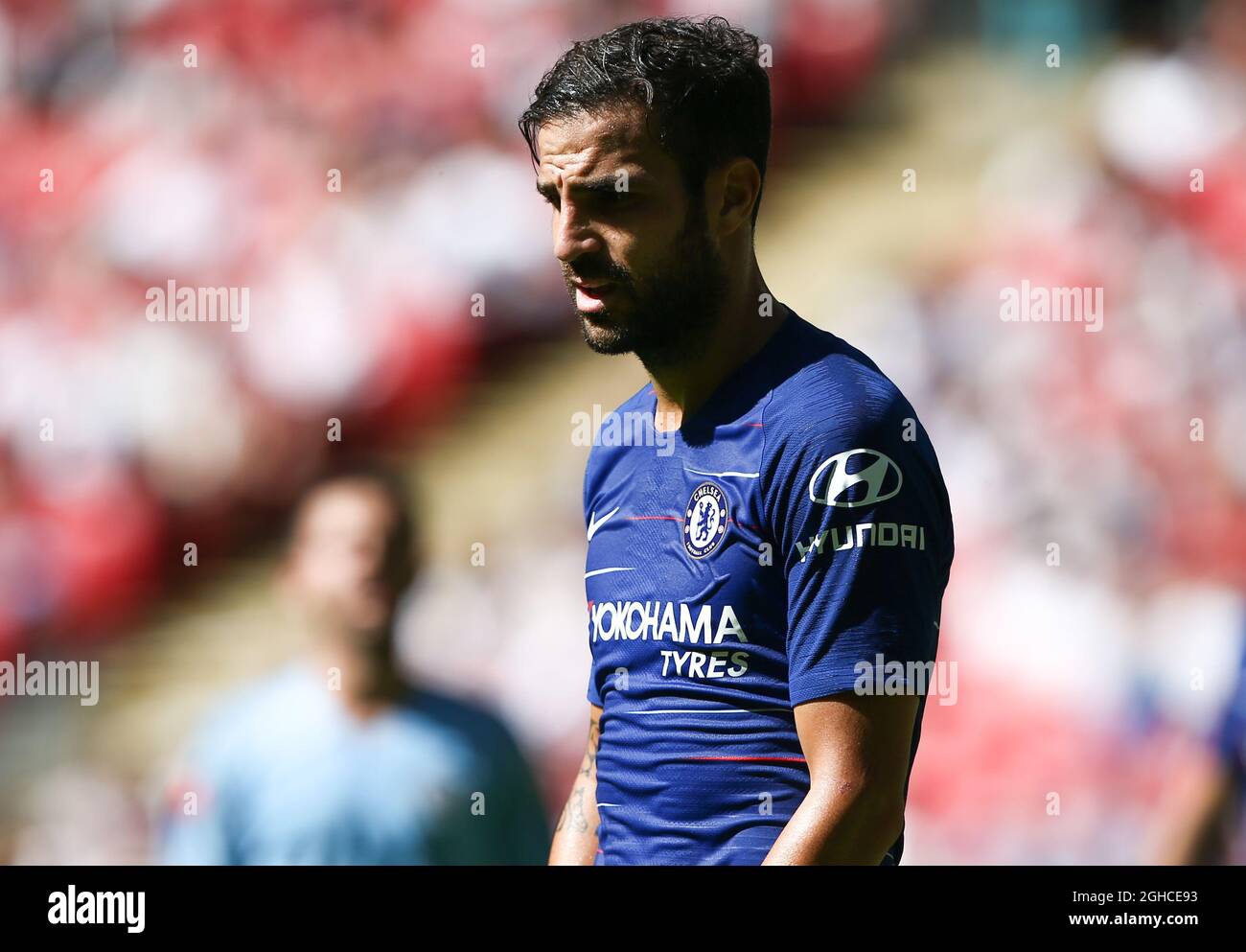 Fa community shield general hi-res stock photography and images - Alamy