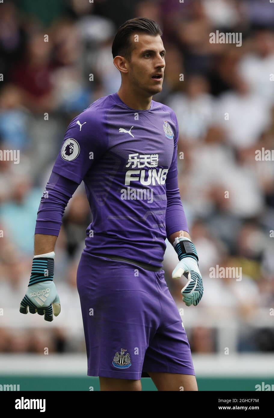 Martin Dubravka of Newcastle United during the Premier League match at ...